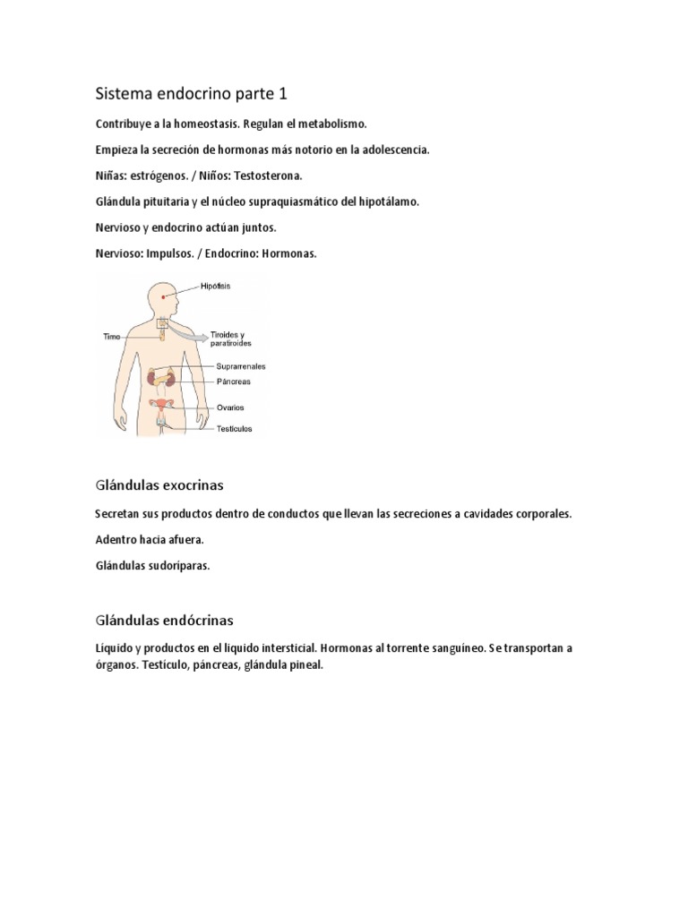 Sistema Endocrino Parte 1 | PDF | Glándula pituitaria | Sistema endocrino