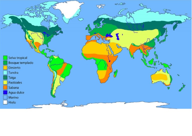 Mapa de Los Biomas | PDF