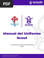 13 Manual de Uniformes, Insignias, Distintivos y Banderas | PDF | Exploración | Color