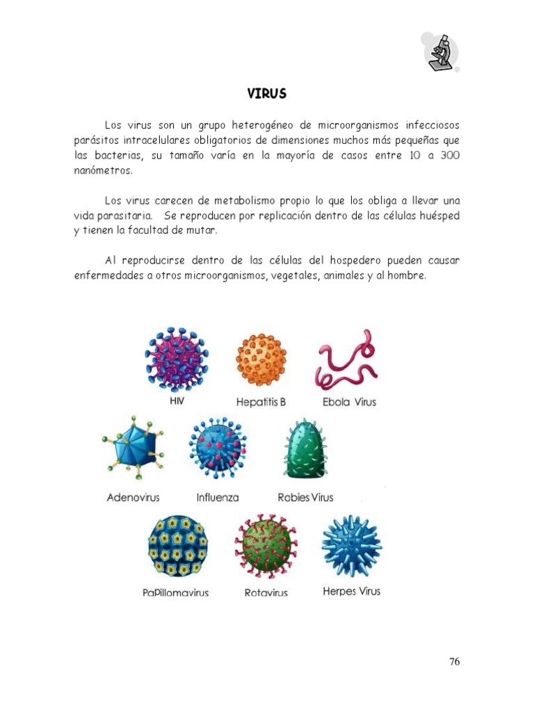 16 Virus | PDF | Virus | Árbol de la vida (biología)