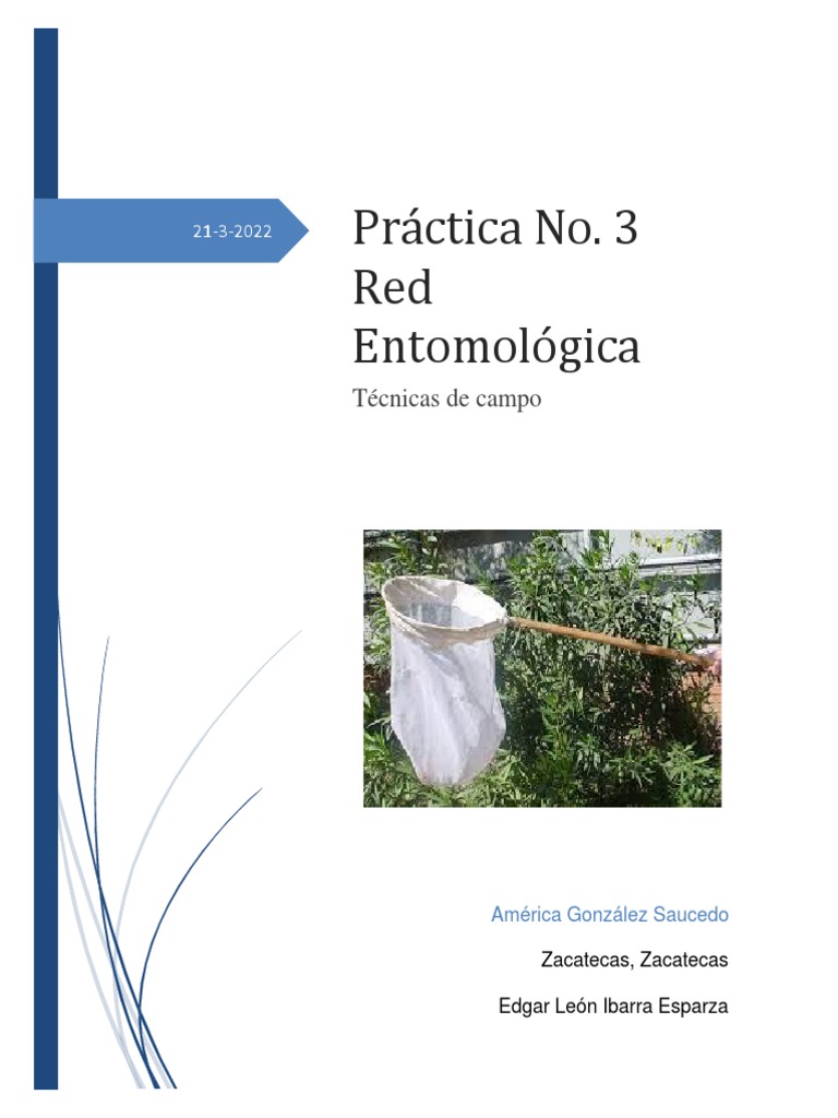 Práctica de Campo 3 | PDF