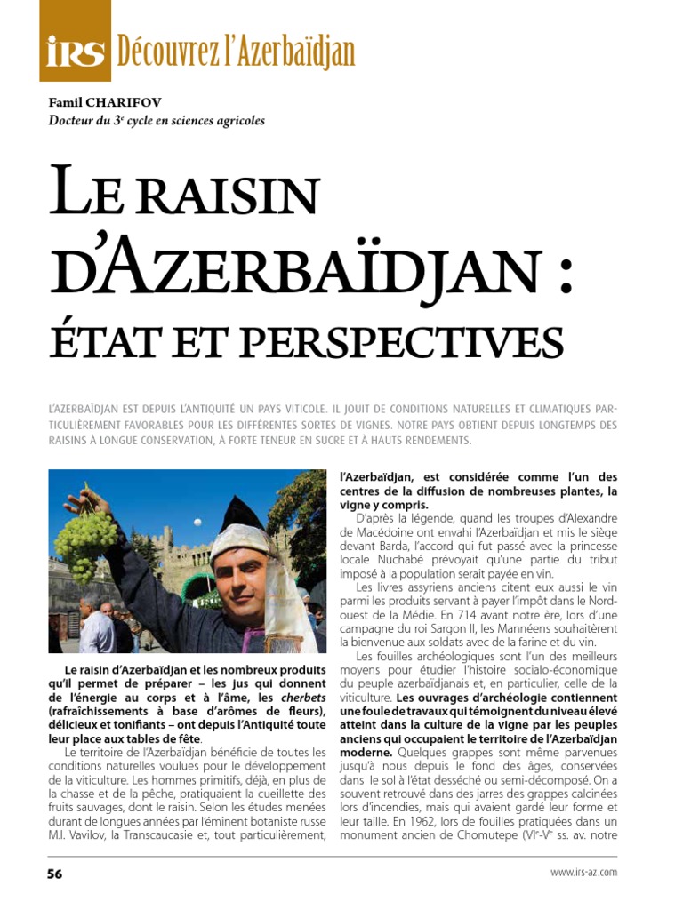 Le Raisin D'azerbaïdjan - Etat Et Perspectives 8p IMP | Download Free PDF | Viticulture | Vins
