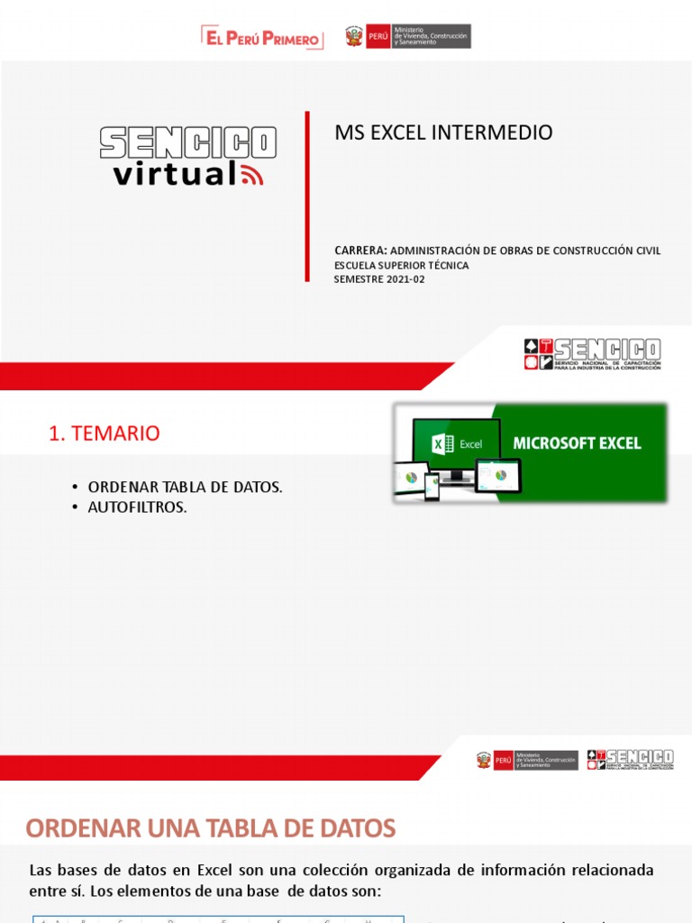 Guía de Clase 18 | PDF | Bases de datos | Microsoft Excel