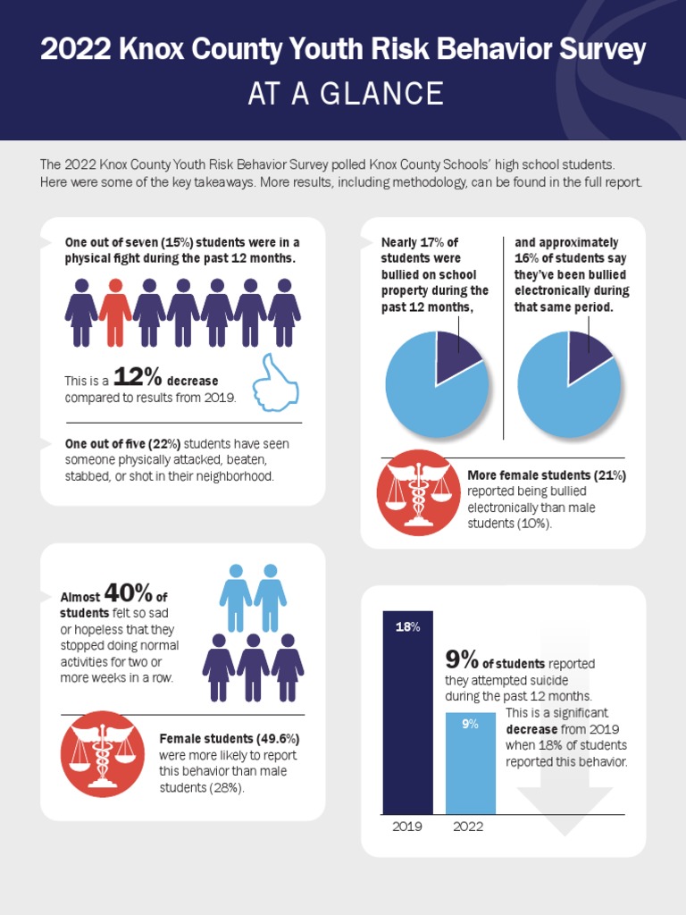 YRBS Report at A Glance 23 | PDF | Bullying | Herbal And Fungal Stimulants