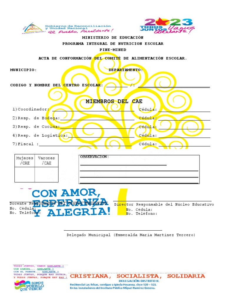 Actas de Cae - 2023 D-Ii | PDF