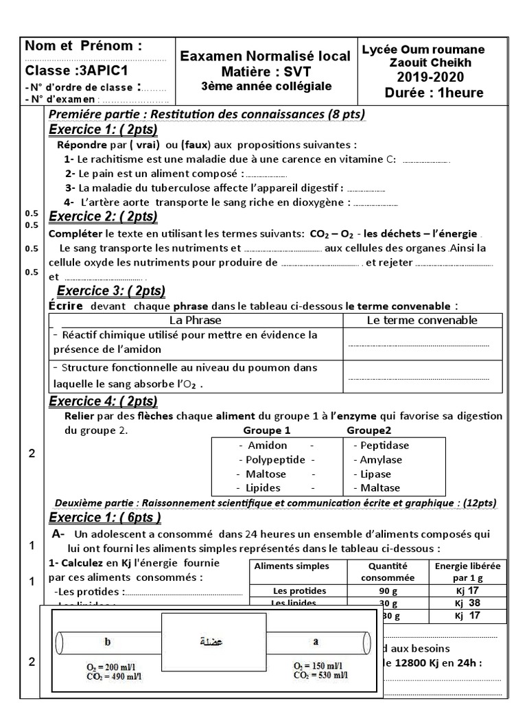 Examen Local 3AC SVT Janvier 2020 | PDF | Amidon | Sang