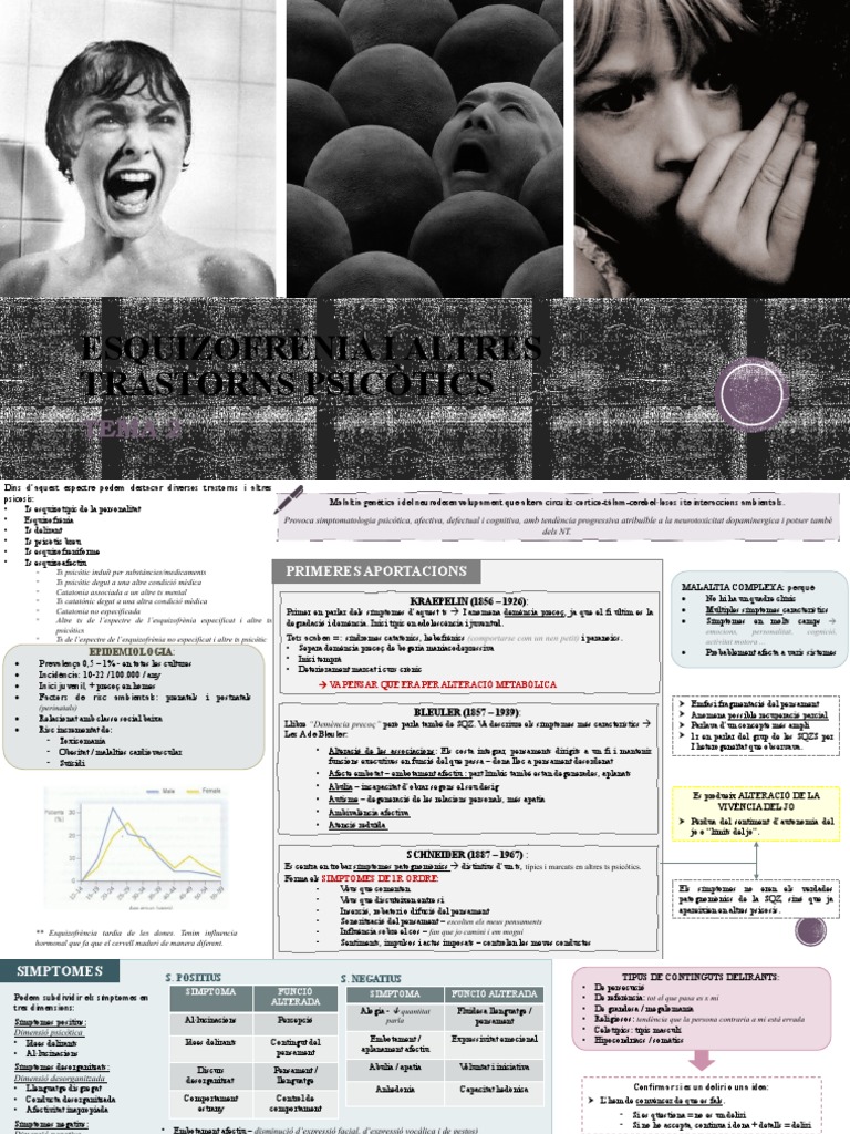 Apunts Trastorns Psicòtics | PDF