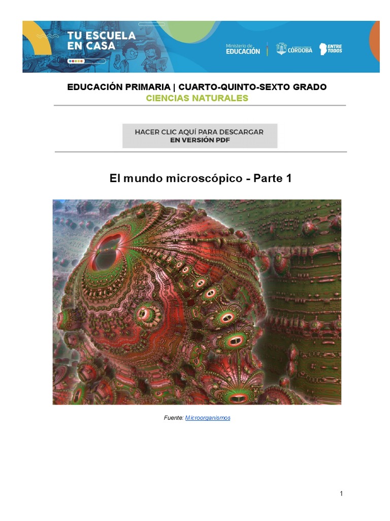 El Mundo Microscópico - Parte 1 - Educación Primaria - Cuarto-Quinto ...