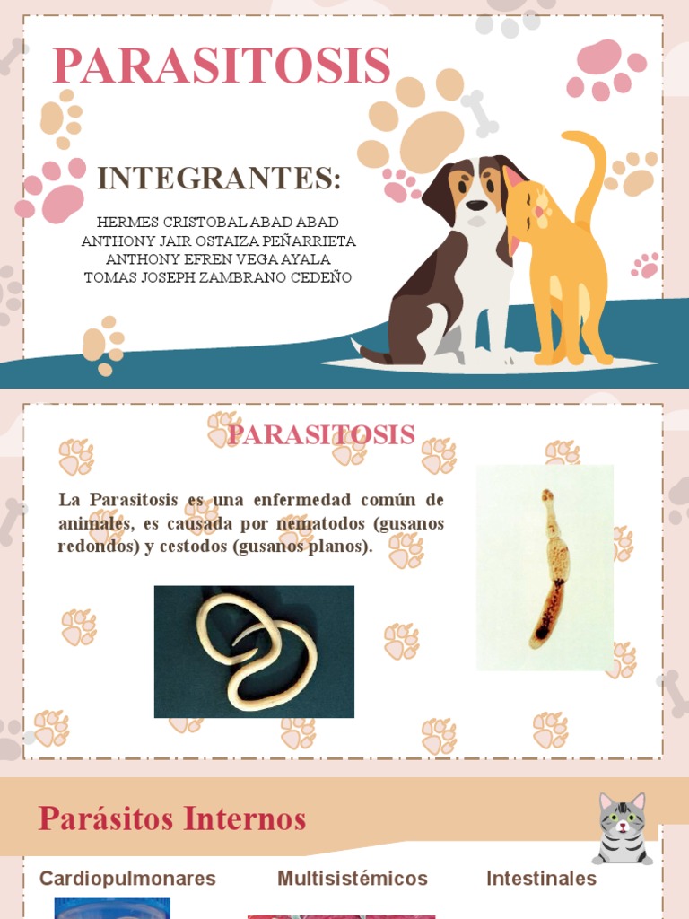 PARASITOSIS | PDF | Parasitología | Medicina CLINICA