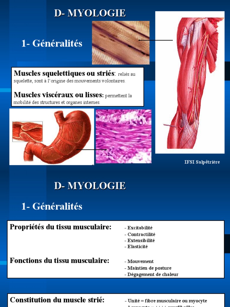 Anatomie Physiologie Appareil Locomoteur | PDF | Muscle squelettique | Contraction du muscle
