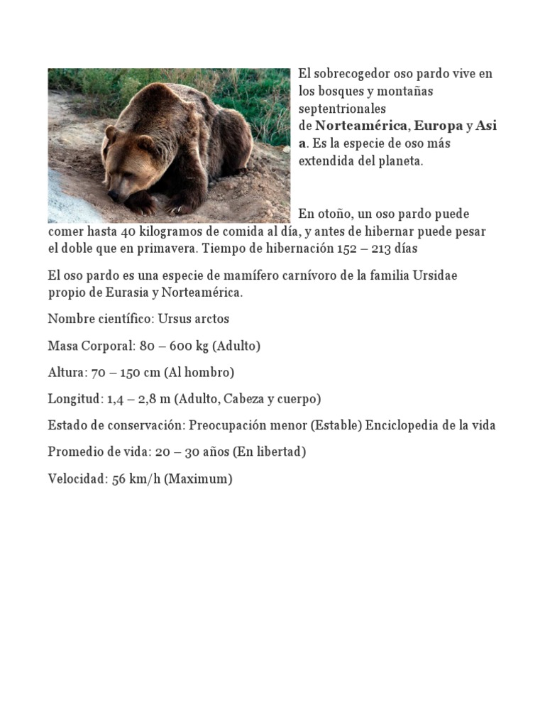 El Sobrecogedor Oso Pardo | PDF
