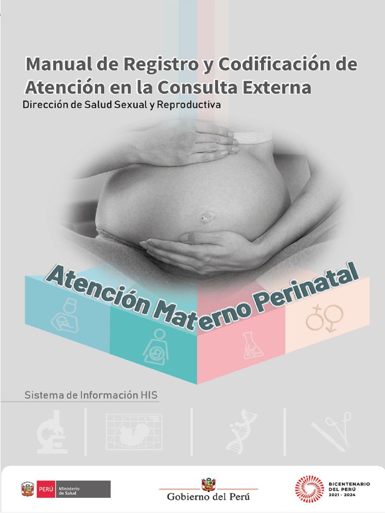 Manual de Registro - Materno - Perinatal - 2023 | PDF | El embarazo | Parto