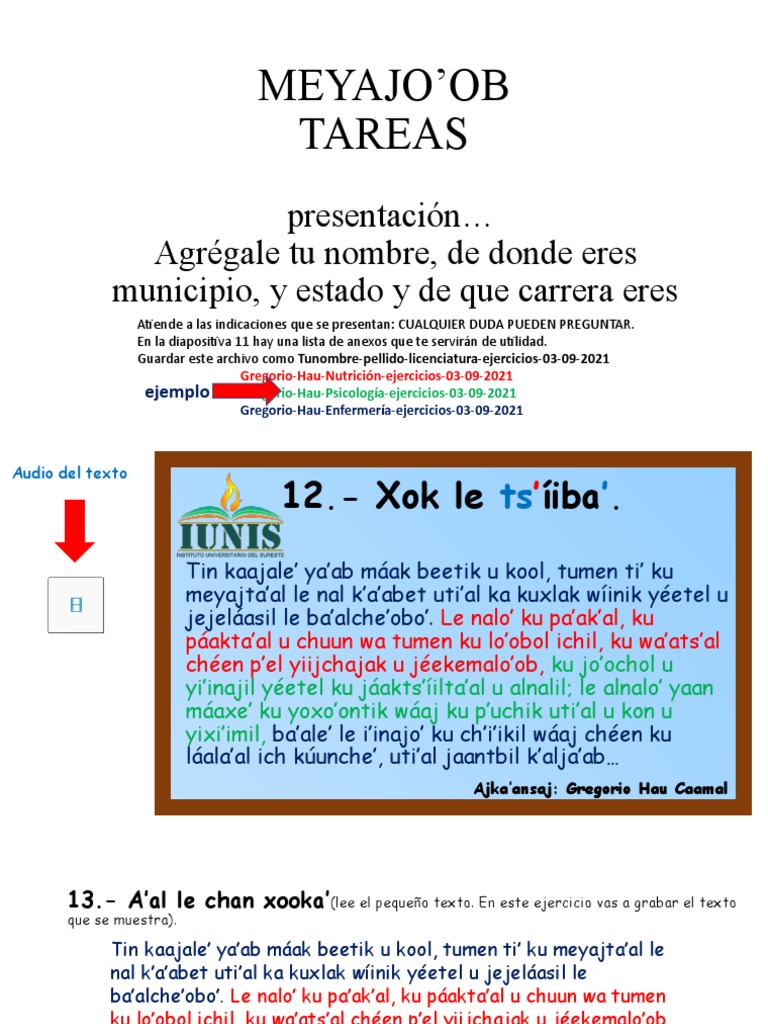 Ejercicios Vocales de La Lengua Maya | PDF | Maíz | Agricultura