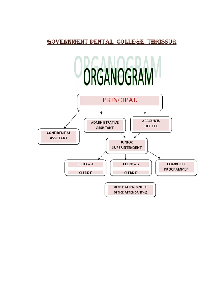 Organogram GDCTSR | PDF