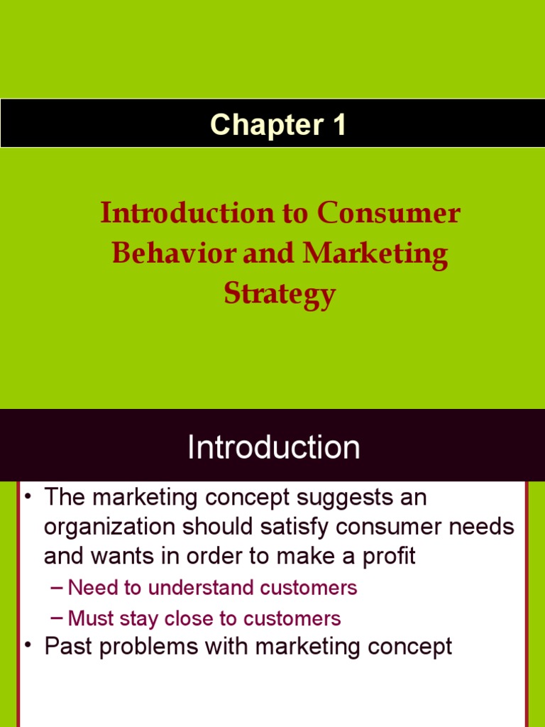 01 CB Introduction To Consumer Behavior and Marketing Strategy | PDF ...