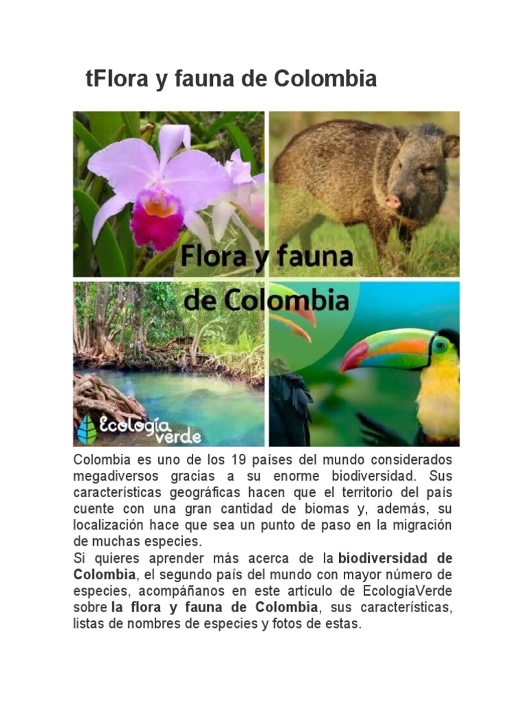 La gran biodiversidad de Colombia: Un recorrido por su flora y fauna ...