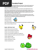Angry Bird Project | PDF | Quadratic Equation | Graph Theory