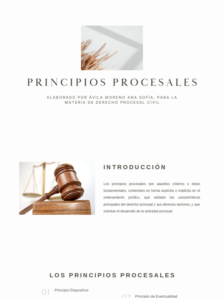 Principios Procesales | PDF | Ley procesal | Procedimiento Civil