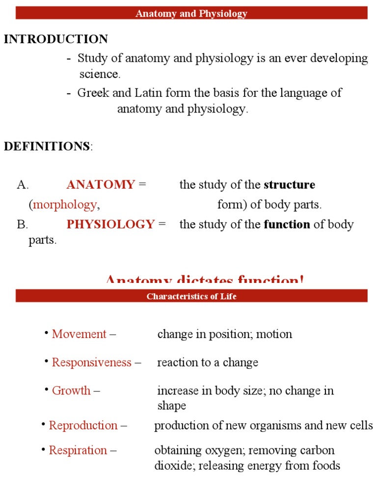 Anatomy and Physiology Overview | PDF | Anatomical Terms Of Location ...