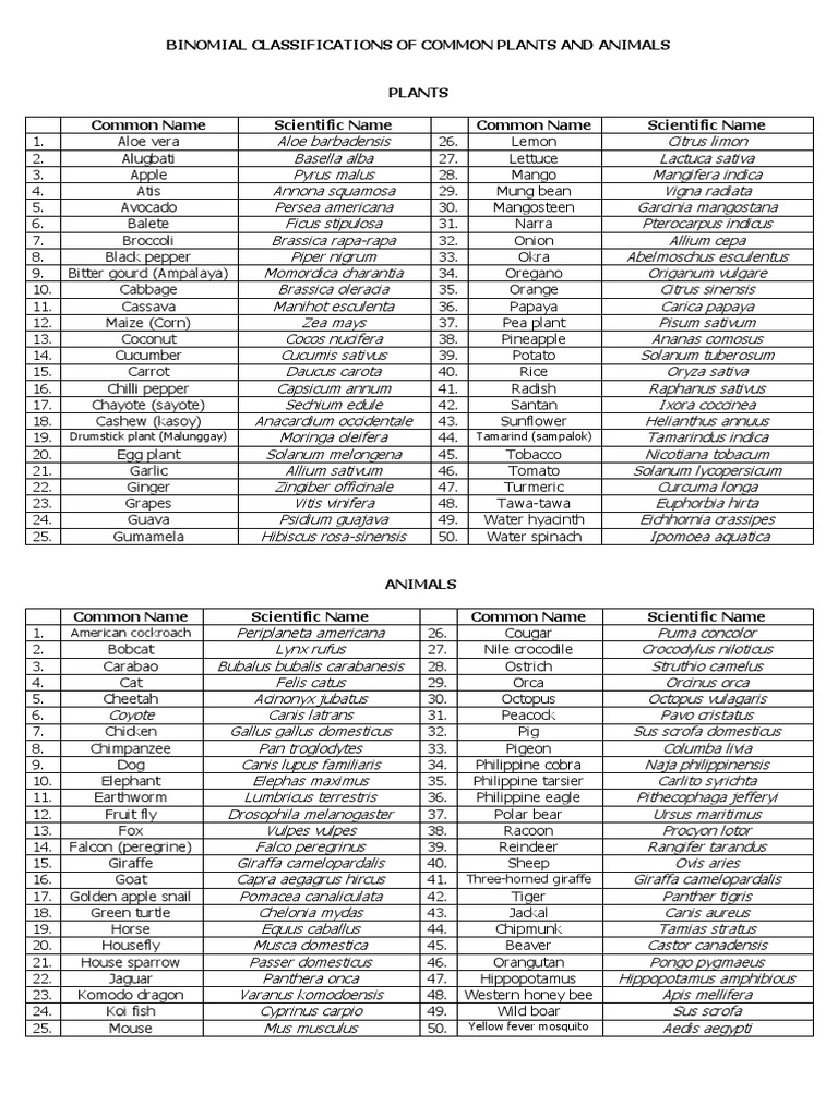 Binomial Names of Plants and Animals | PDF