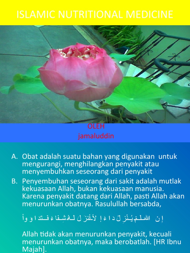 Materi 11 Terapi Nutrisi | PDF | Kesehatan Holistik