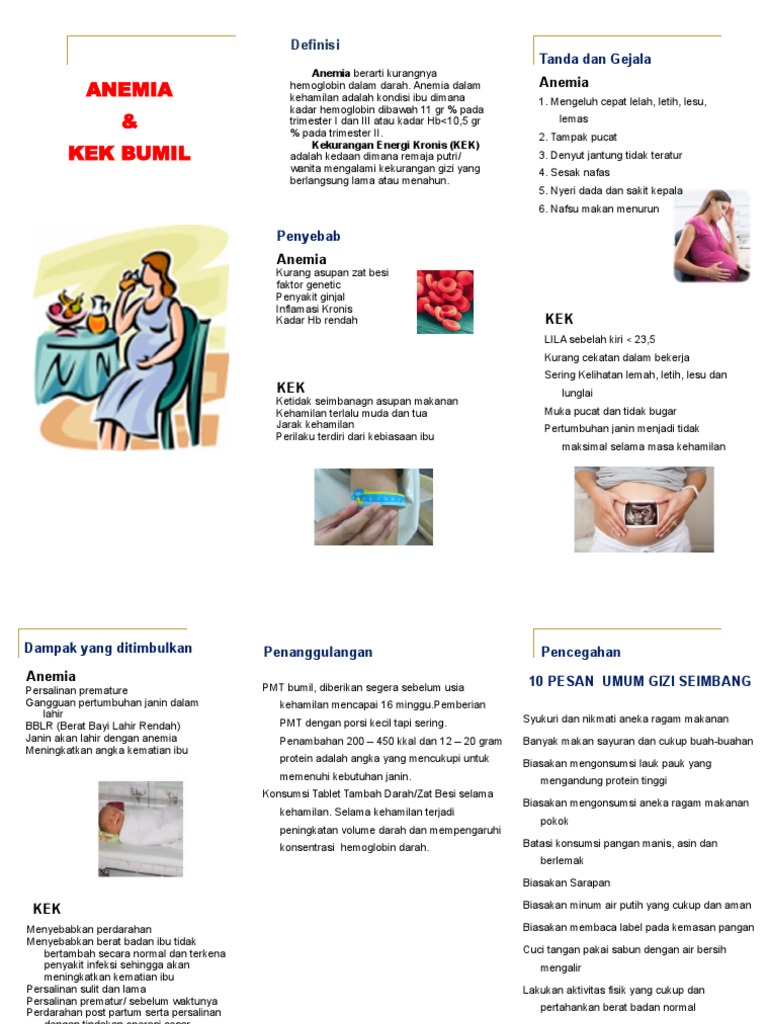 Leaflet KEK Anemia | PDF