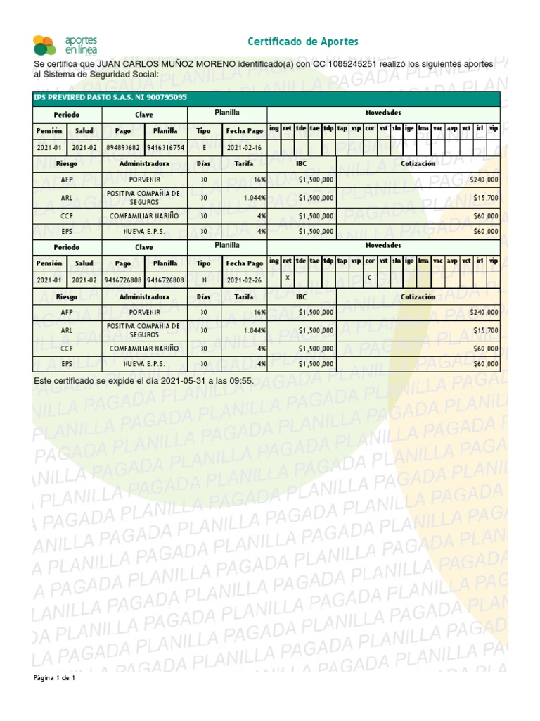 Planilla Retiro | PDF | Ingresos | Pensión