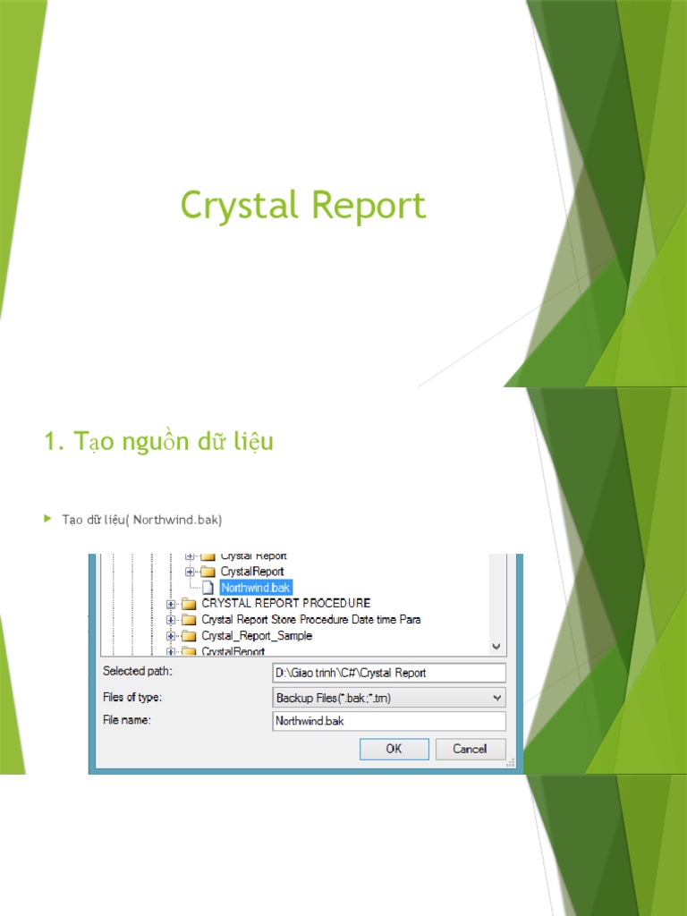 Te1baa1o Crystal Report Dc3b9ng Store Procedure | PDF