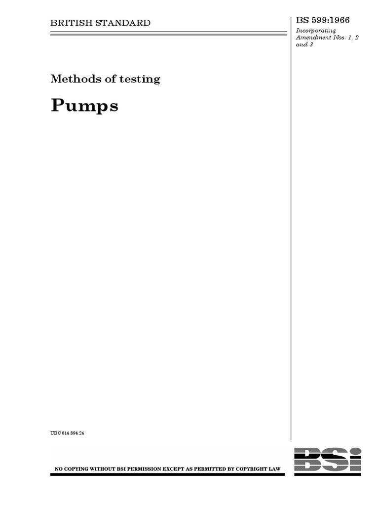 BSI 599 P.TEsting | PDF | Pump | Pressure