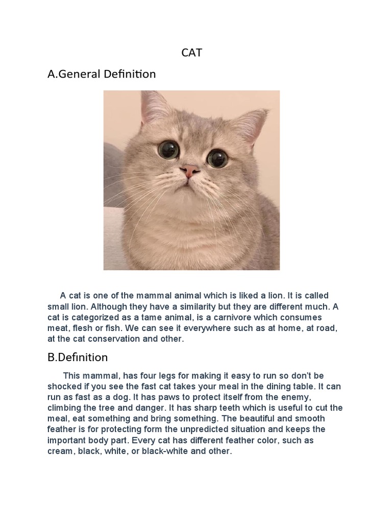 Factual Report Text | PDF | Cats | Biology