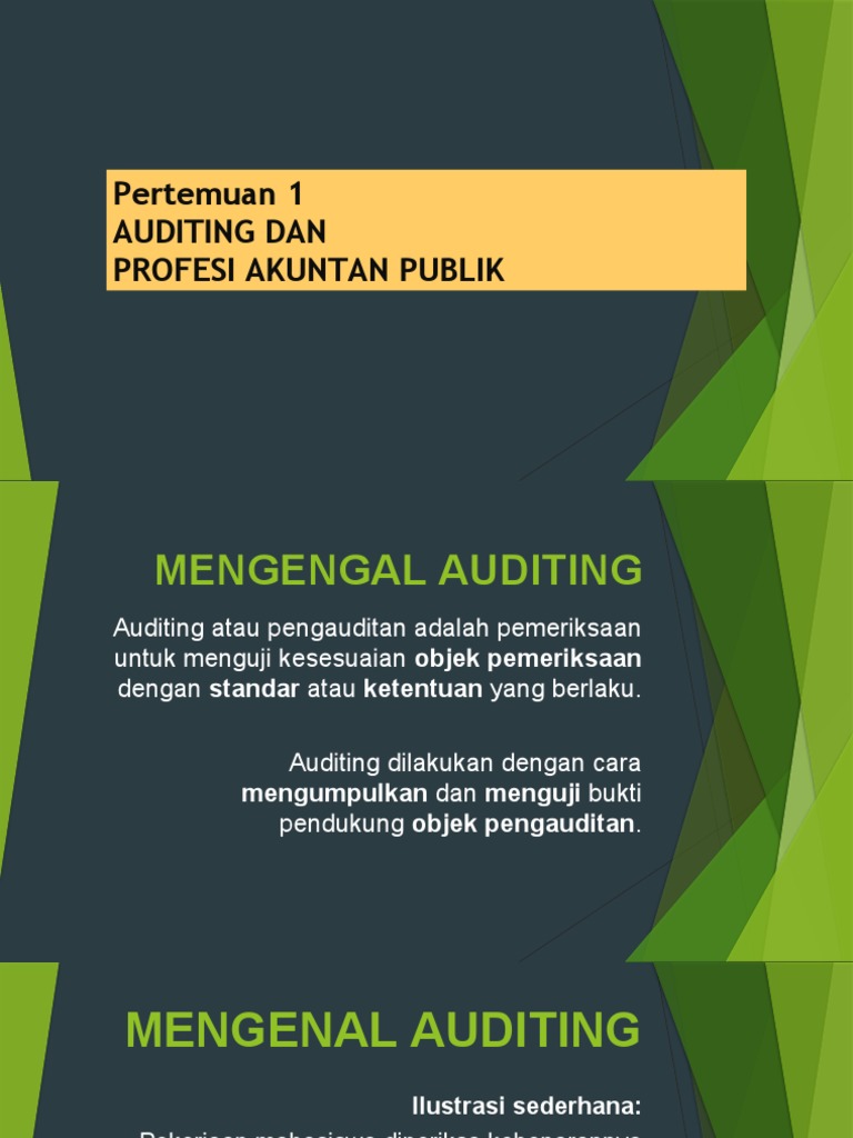 Pengantar Auditing dan Akuntansi | PDF