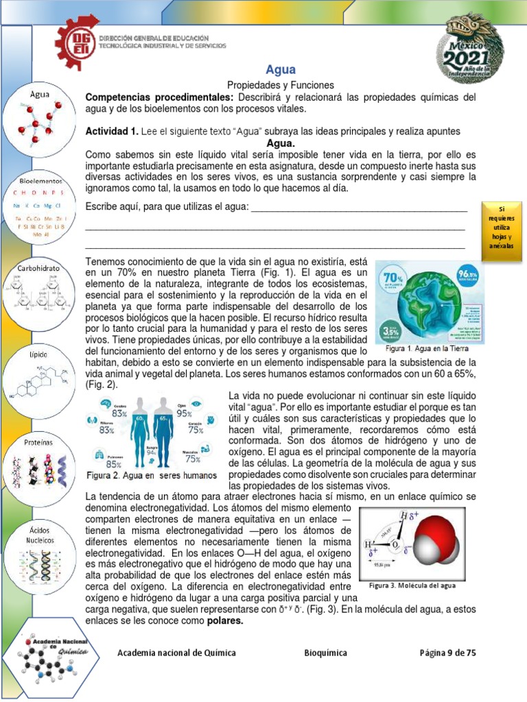 Agua, Propiedades y Funciones | PDF | Propiedades del agua | Enlace covalente