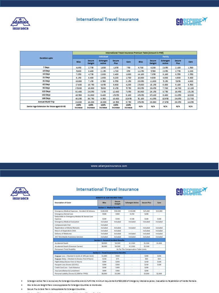 International Plan | PDF | Social Programs | Financial Services