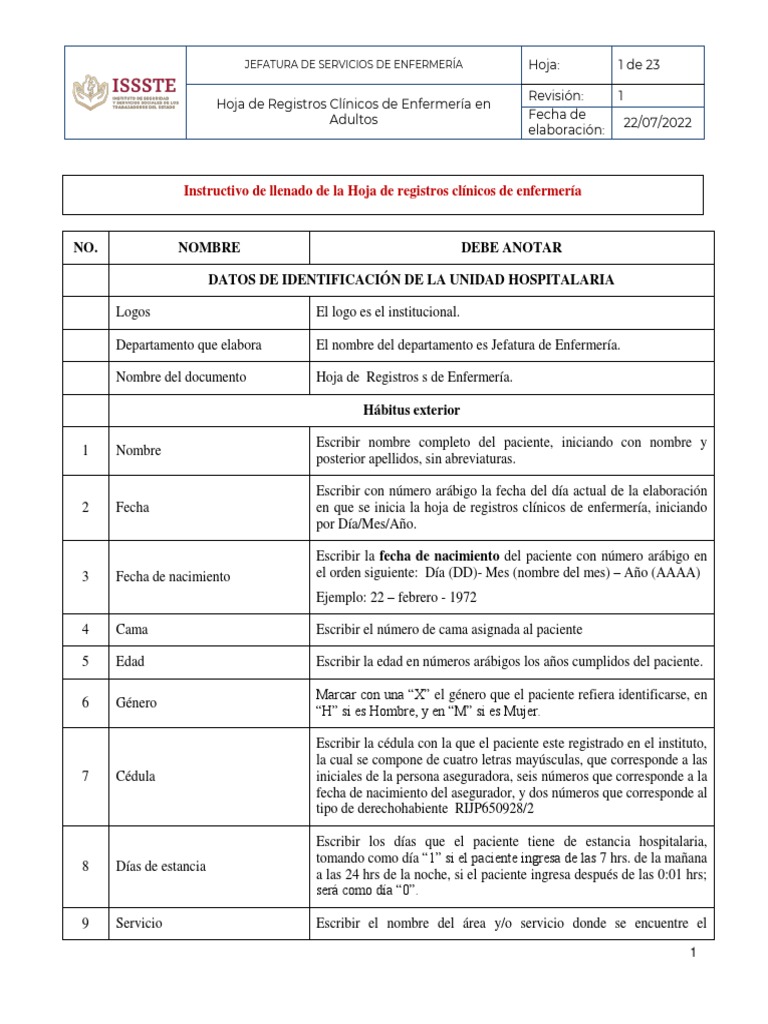 Instructivo Hoja de Registros Clínicos de Enfermería 2022 | PDF ...