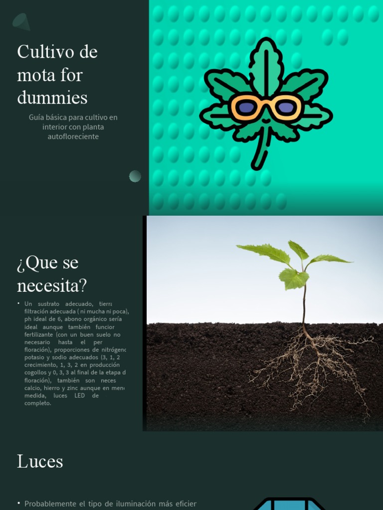 Cultivo de Mota For Dummies | PDF | Fertilizante | Cannabis (Droga)