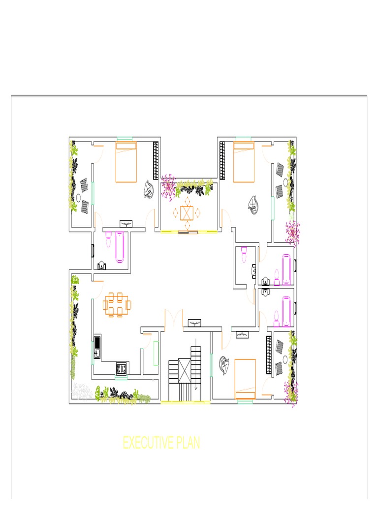 Executive Plan | Pdf
