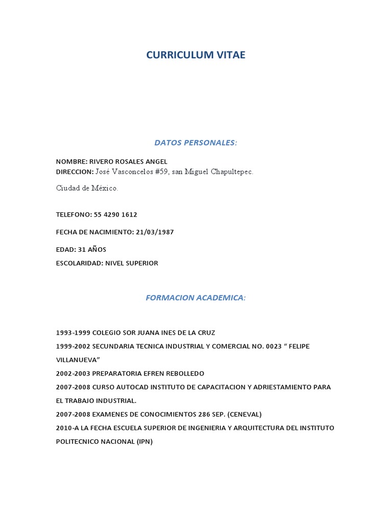Curriculum Vitae Angel | PDF