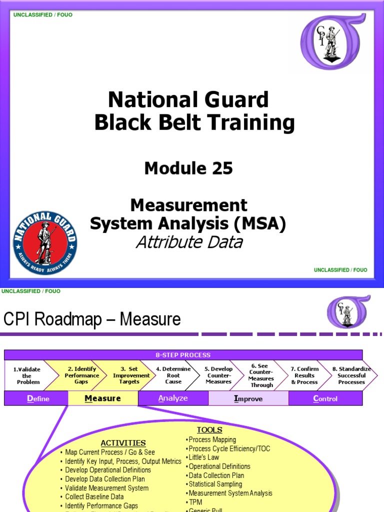 Module 25. MSA - Attribute Data | PDF | Classified Information | Level ...