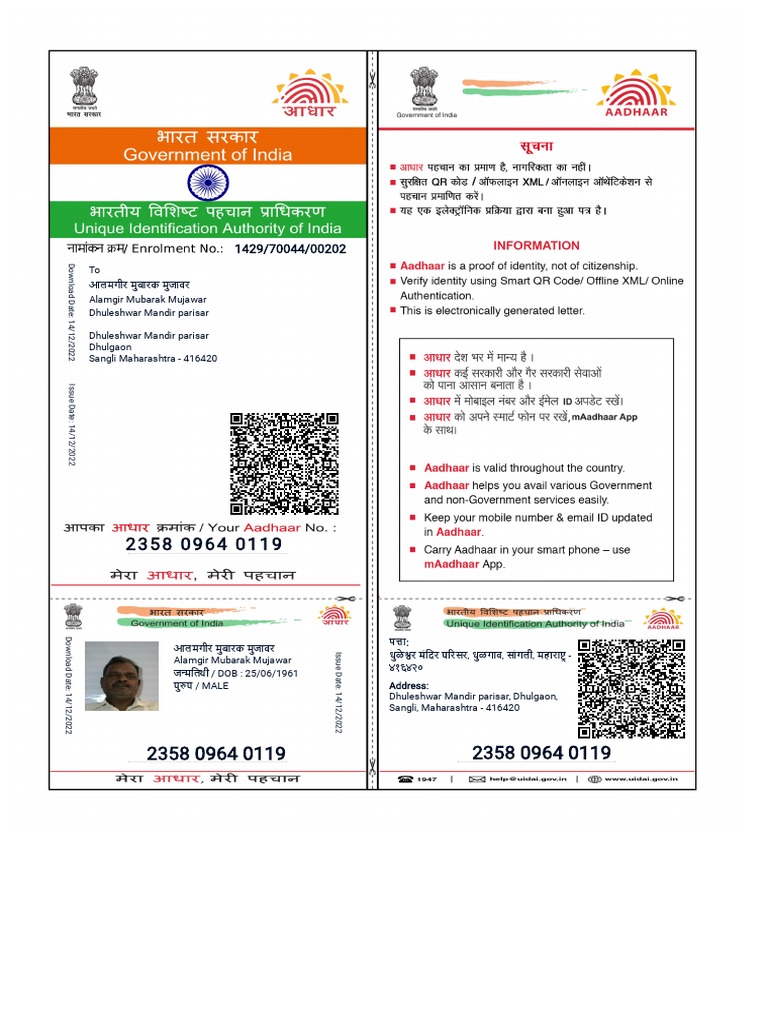 Alamgir Mubarak Mujawar | PDF