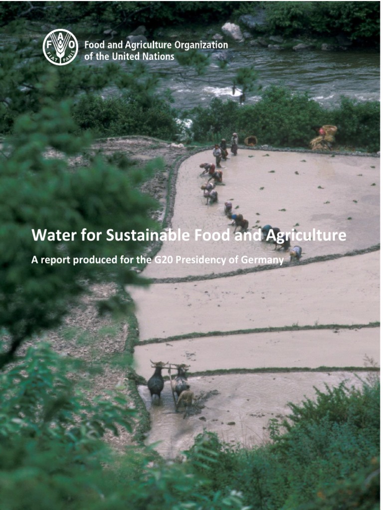 Water For Sustainable Food and Agriculture: A Report Produced For The ...