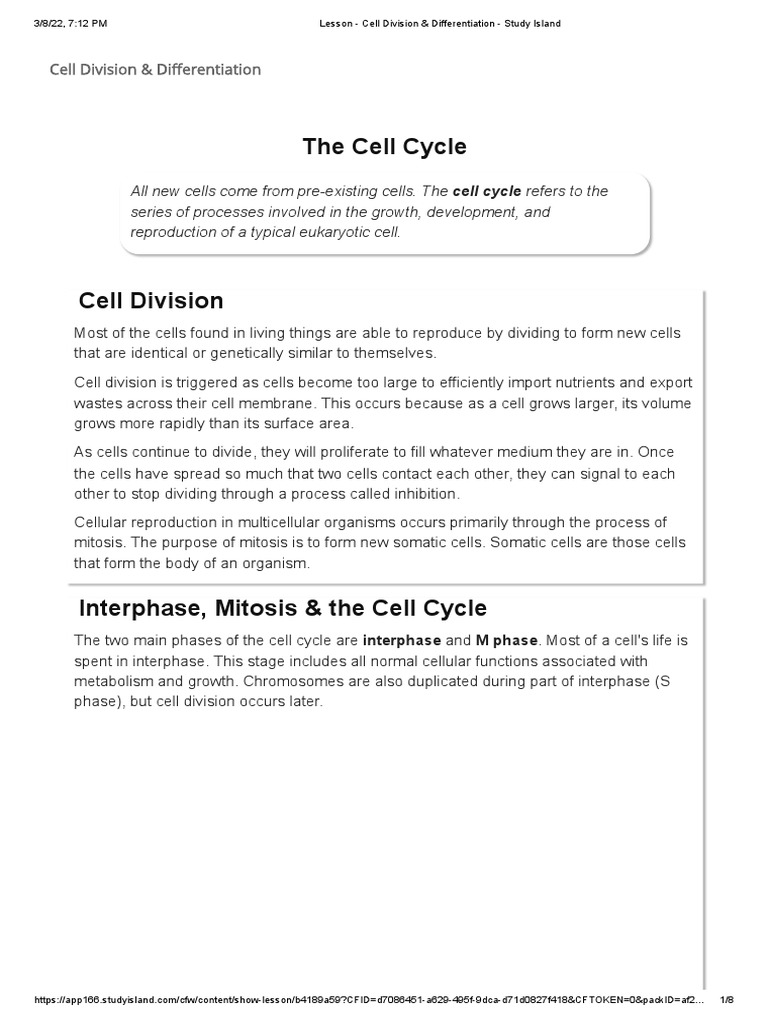 Lesson - Cell Division - Differentiation | Download Free PDF | Mitosis ...