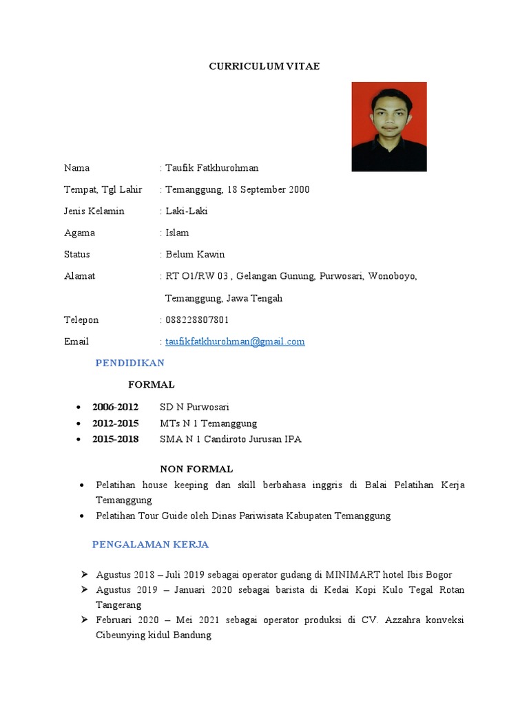 CV Taufik Fatkhurohman | PDF