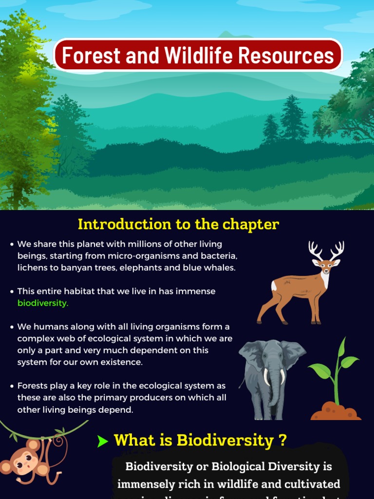 Forest and Wildlife Resources | Download Free PDF | Biodiversity ...