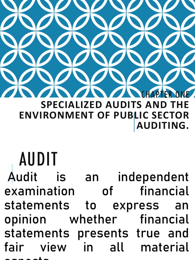 Chapter 1 PPT Specialized Audit and The Environment of Public Sector Auditing | PDF | Audit ...