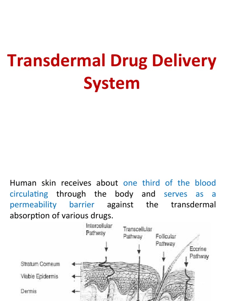 Transdermal Drug Delivery System | PDF | Skin | Physical Sciences