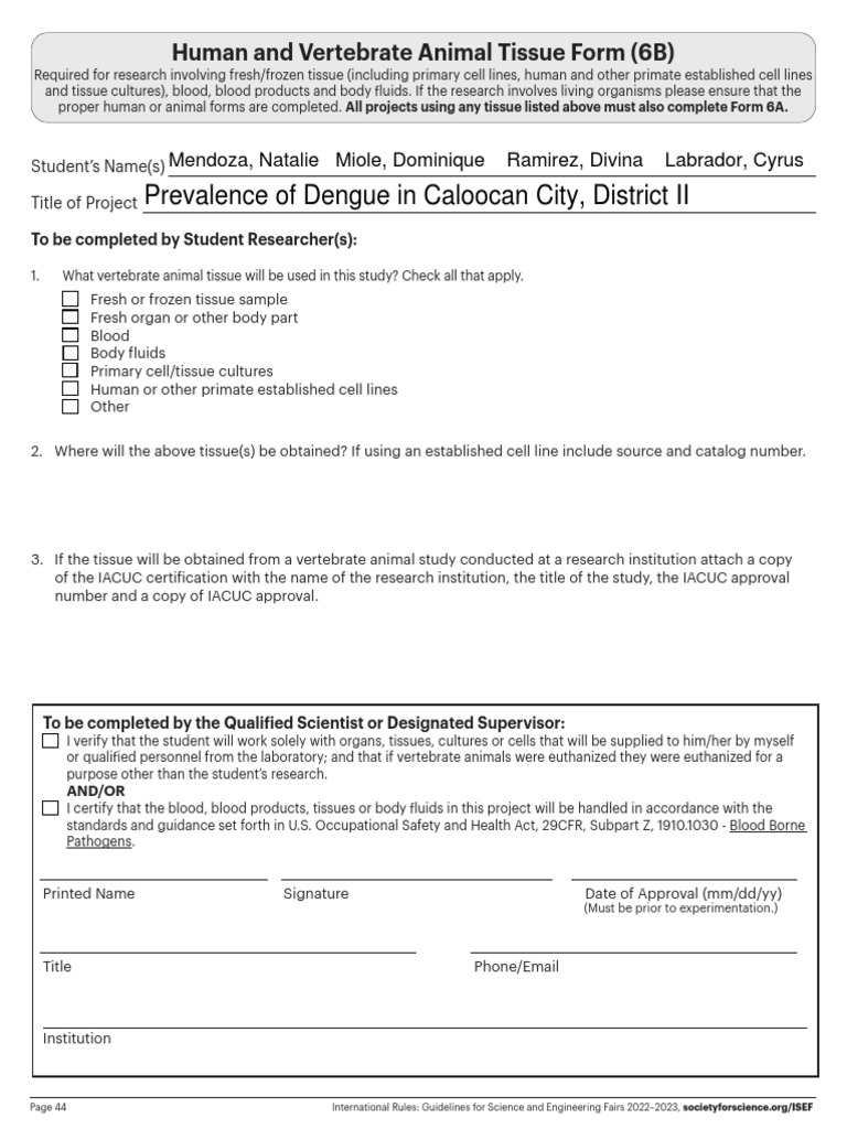 6B Human Vertebrate Animal Tissue | PDF | Blood | Tissue (Biology)