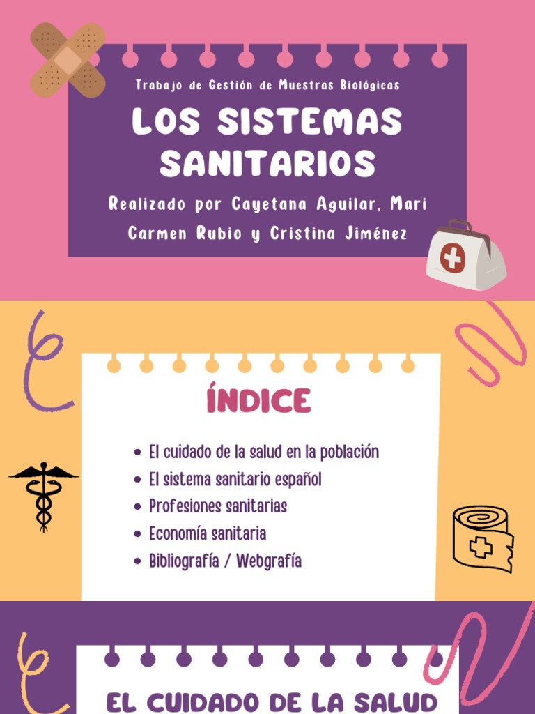 Sistemas y Modelos Sanitarios: Un Análisis del Sistema Sanitario Español | PDF | Programas ...