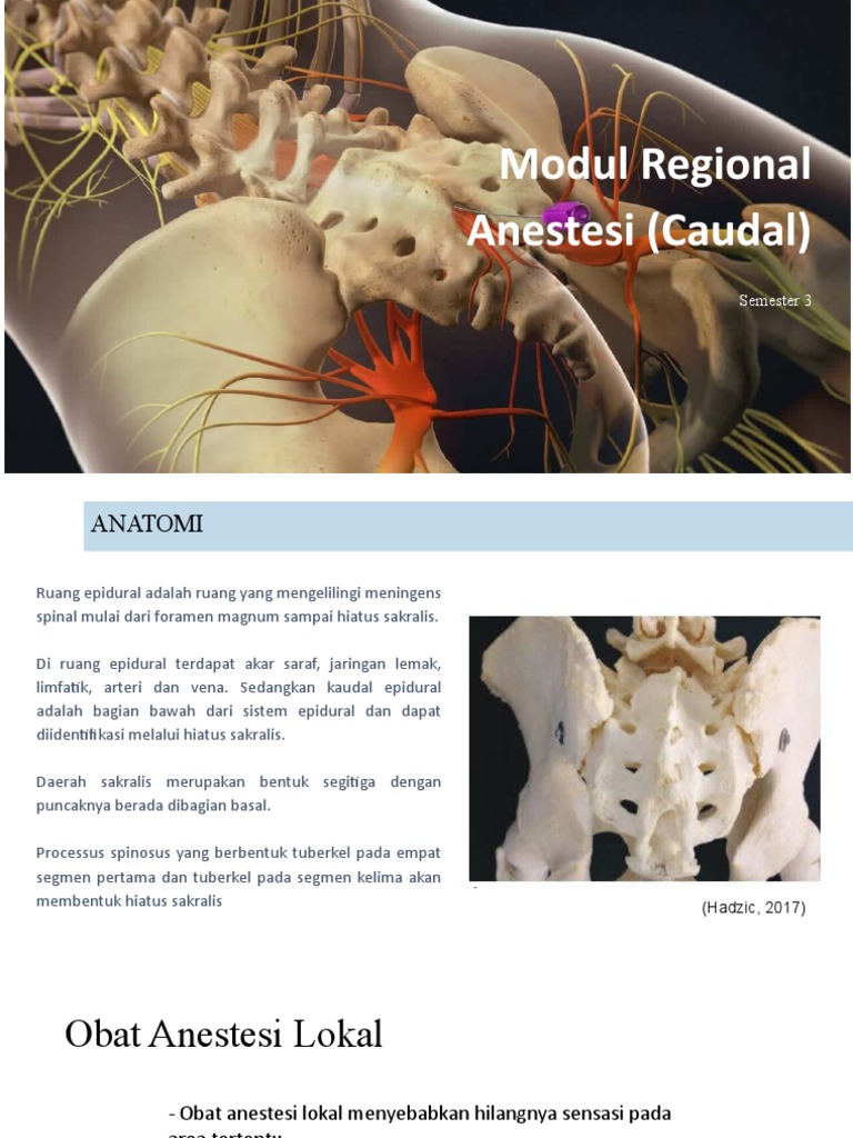 Modul Caudal Ares | PDF