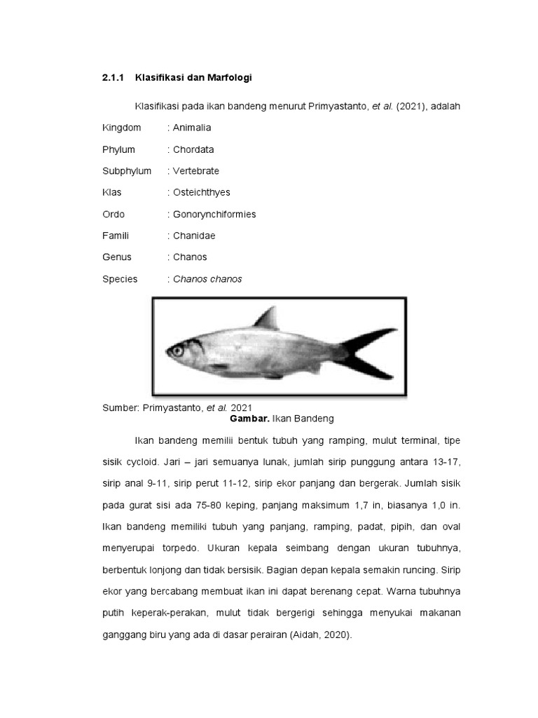 Ciri dan Klasifikasi Ikan Bandeng | PDF | Griya & Taman