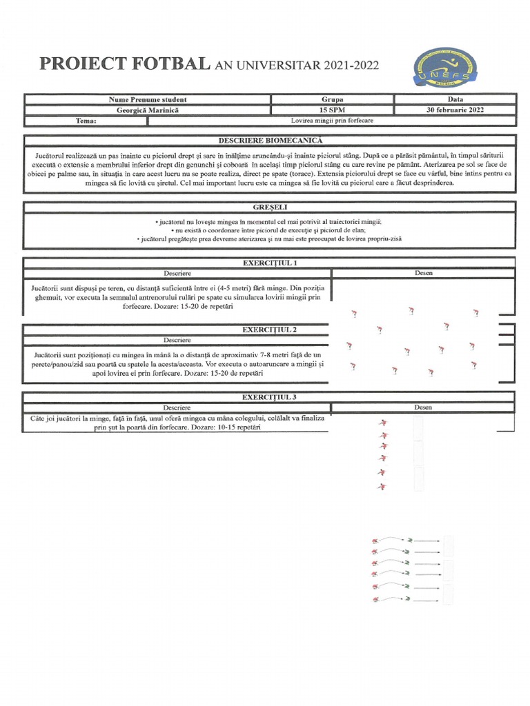 Proiect Fotbal Exemplu | PDF